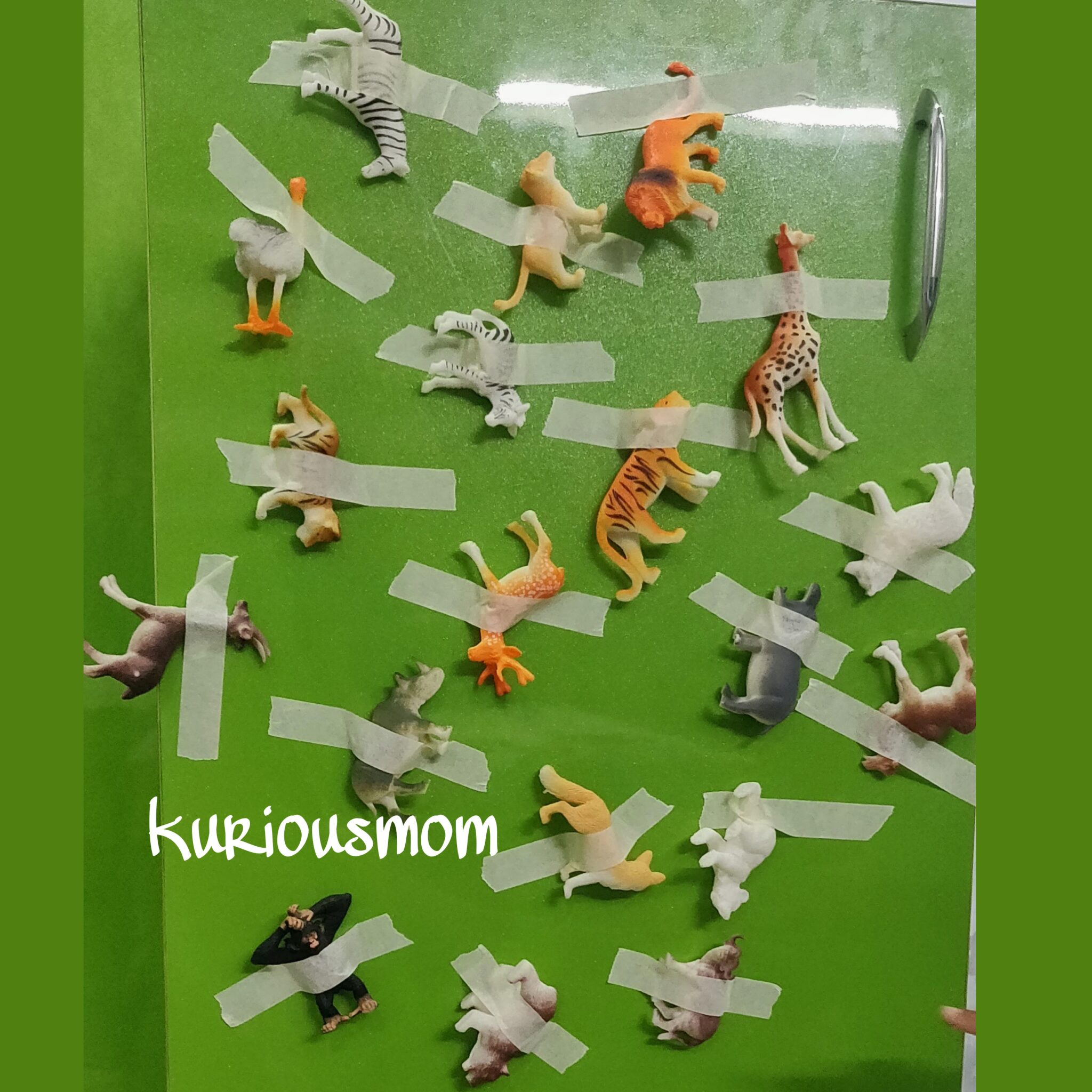 animal rescue preschool activity