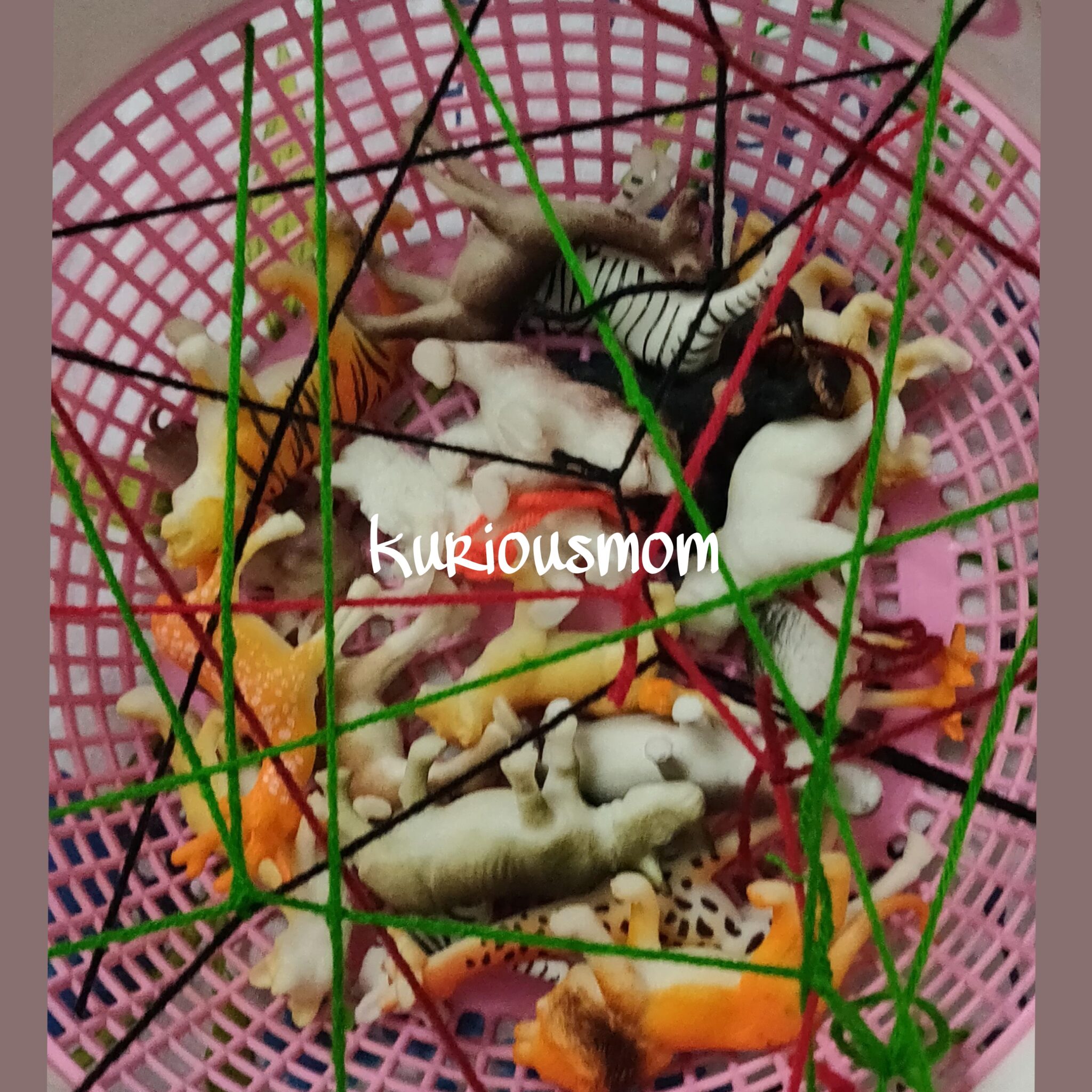 animal rescue preschool activity