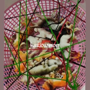 animal rescue preschool activity