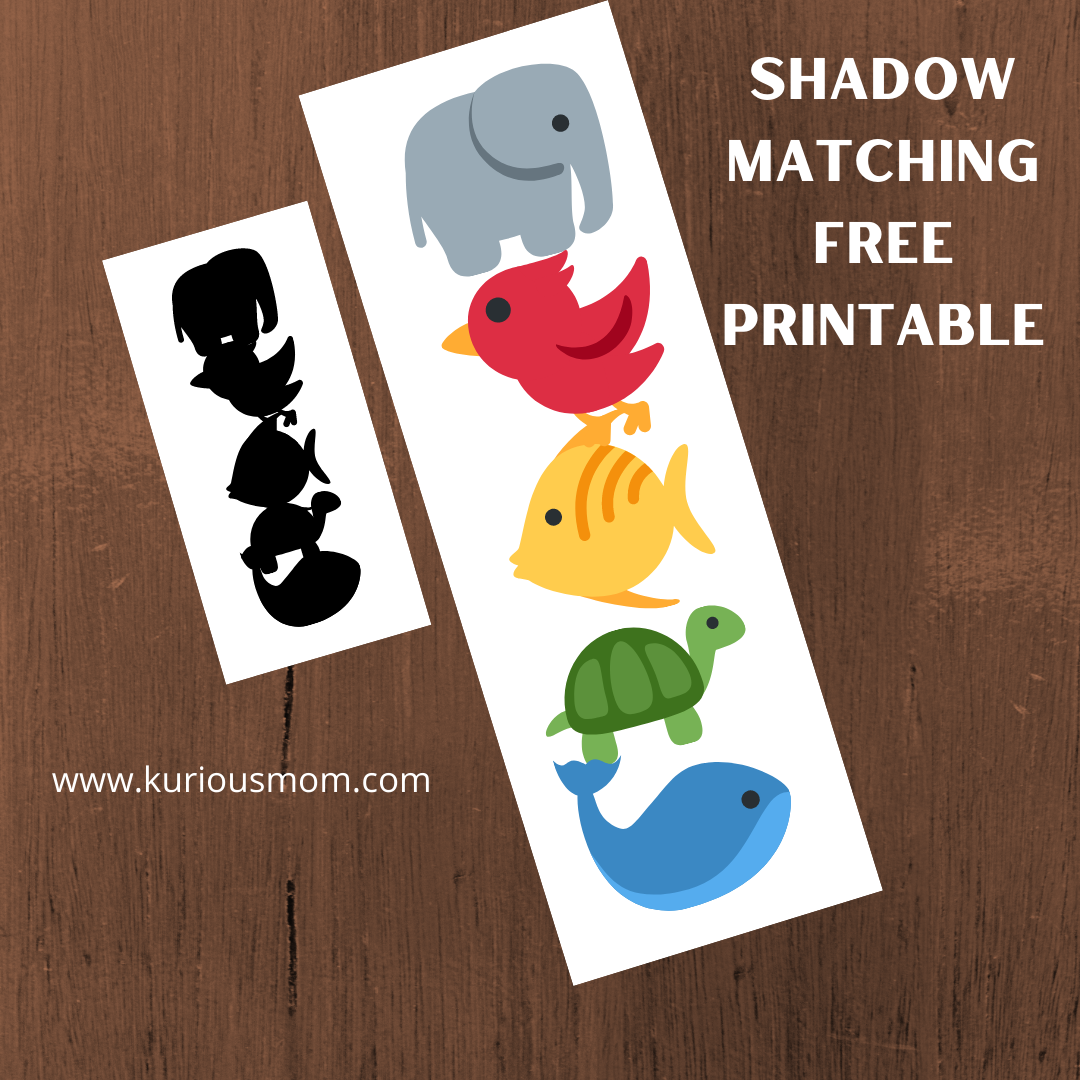 Shadow Matching game - KuriousMom