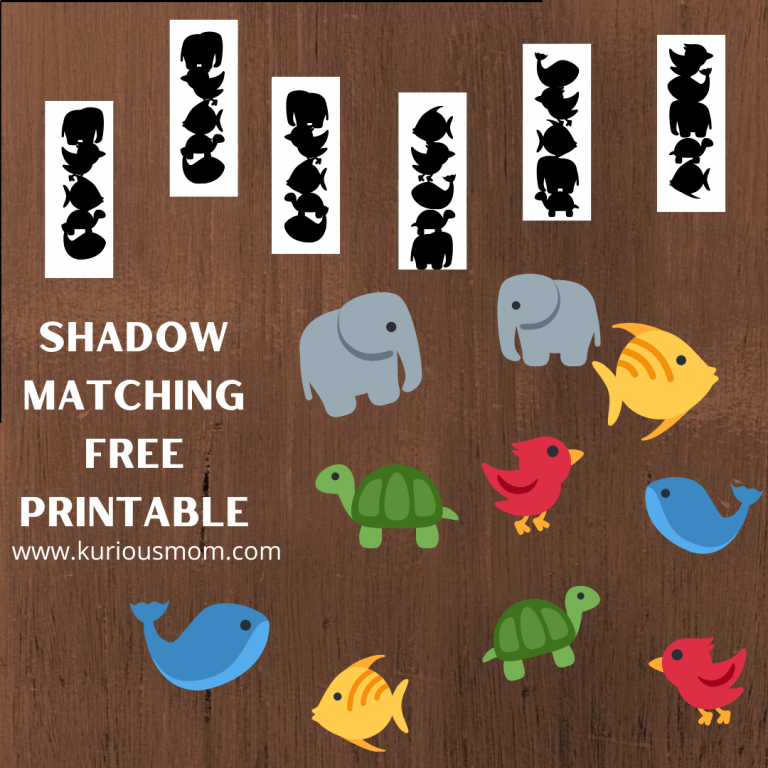 Shadow Matching game - KuriousMom