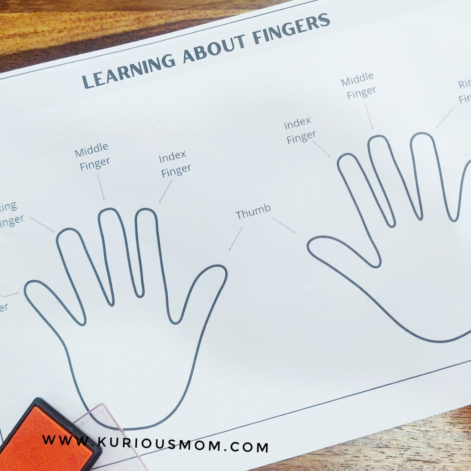 Teach finger names to kids - Free Worksheet - KuriousMom