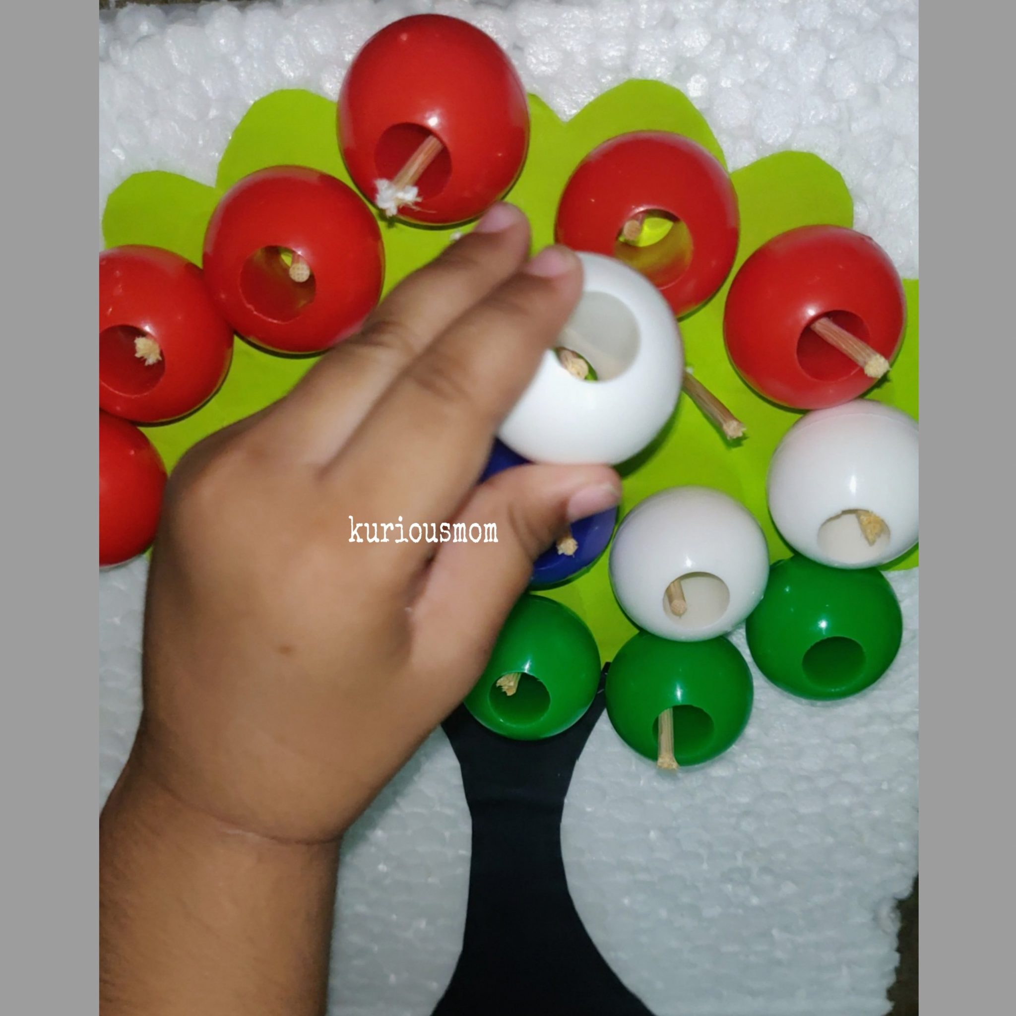 The Indian flag tree - KuriousMom