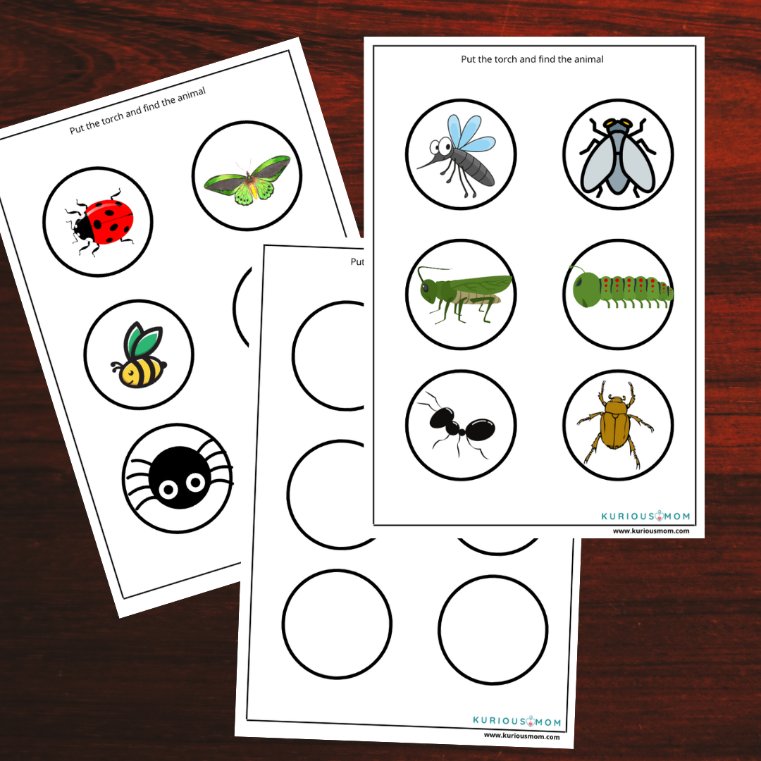 Amazing Torch play for kids - KuriousMom